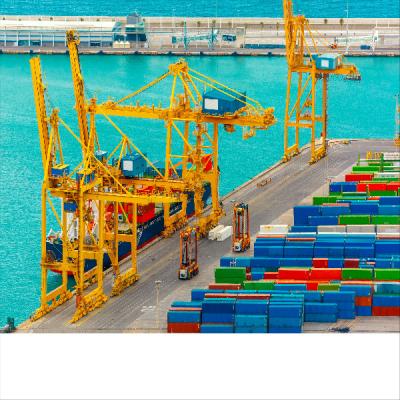 China DDP International Sea Freight Forwarding From China To Europe for sale