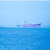 China International Sea Freight Forwarding DDP From China To Indonesia for sale
