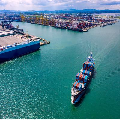China A Class Sea Freight Forwarding DDP From China To Thailand for sale