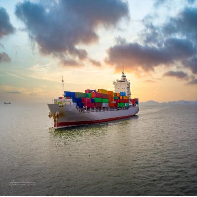 China International Sea Freight Forwarding DDP From China To India for sale