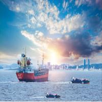 China International Sea Freight Forwarding DDP From China To New Zealand for sale