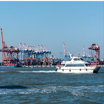 China Door To Door International Sea Freight Forwarding DDP From China To Australia for sale