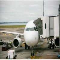 China DDU DDP From China To Nigeria International Air Freight Forwarder for sale