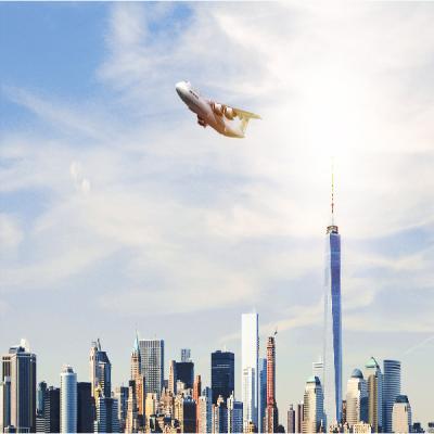 China International Global DDU DDP Air Freight Forwarder From China To Oman for sale