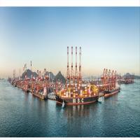 China From China To UAE Middle East International DDP Sea Freight Forwarder for sale
