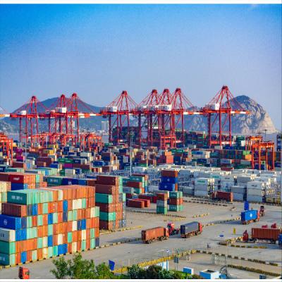 China FBA International Sea Freight Forwarder DDU From China To South Korea for sale
