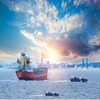 China International Sea Freight LCL FCL From China To Belgium Forwarding for sale