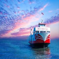 China International FCL LCL From China To South America  Sea Freight Forwarder for sale