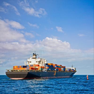 China Door To Door To Antwerp International LCL FCL Sea Freight Forwarder for sale
