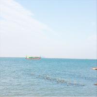 China Lcl Fcl Sea Freight Forwarder Service To Worldwide for sale