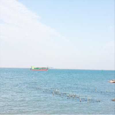 China Lcl Fcl Sea Freight Forwarder Service To Worldwide for sale