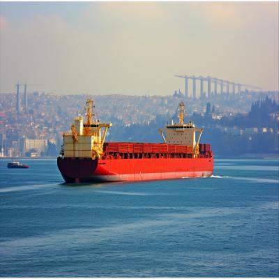 China International Sea Freight Shipping Agent Lcl Fcl From China To Osaka Port for sale