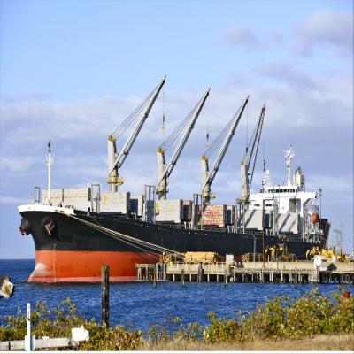China Professional International Sea Freight Shipping To Germany Uk Usa France Ddp China Dropshipping Agent for sale