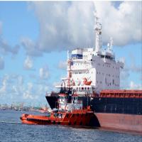 China Logistics International Sea Freight Services From China To Singapore for sale