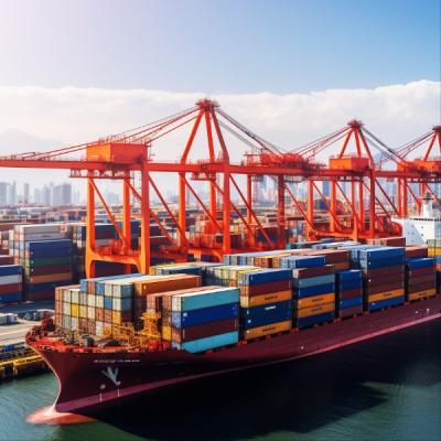 China Logistics Ddu Ddp Service International Sea Freight Forwarding Agent From China To Spain for sale