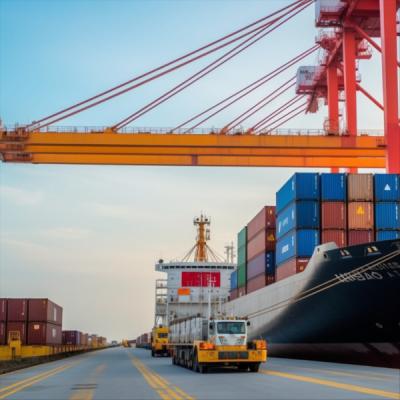 China International Sea Forwarder Shipping Agent Freight Cost Rates From China to India for sale