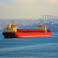 China International Ocean Freight forwarding Services LCL FCL Agent From China to Peru for sale