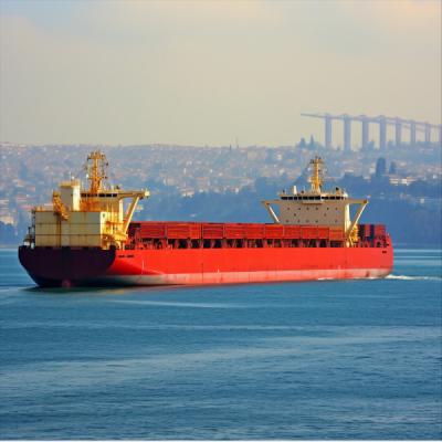 China International Ocean Freight forwarding Services LCL FCL Agent From China to Peru for sale