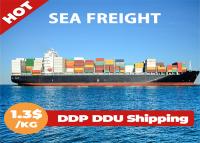 China FCL LCL International Sea Freight Forwarding , Sea Freight China To Europe for sale