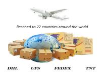 China China To Iran International Sea Freight Services 20GP 40GP for sale