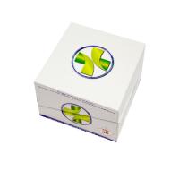 China Custom Magnetic Flip-Top Book Style Packaging Box with EVA Insert - 500pcs MOQ, 10-Day Production for sale