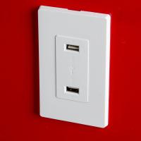 China LD-U001 4.2A Smart High Speed USB Charger Outlet with 2 Ports and Wall Plates for 110-250V Systems for sale