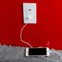China LD-U001 4.2A Smart High Speed USB Charger Outlet with 2 Ports and Wall Plates for 110-250V Systems for sale