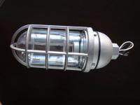 China Explosion-Proof Die-Cast Aluminum Vapor Proof Light Fixture with 1/2