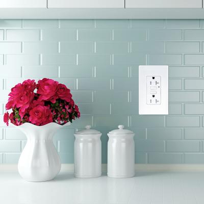 China LD-U001 4.2A Smart USB Charger Outlet with Dual Ports and Universal 110-250V Input for sale