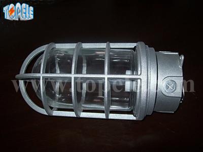 China IP65 LED Vapor Tight Flood Light 12W 1100LM Die-Cast Aluminum Outdoor Security Lighting 4x4x6.1 Inches for sale