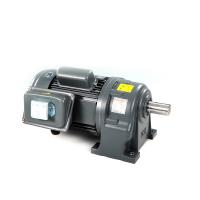 China Power 0.1kW AC Gear Reduction Motor 3226Nm High Torque Gear Motor for sale