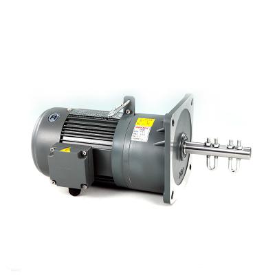 China Singe Phase 0.1kW Speed Reducer Motor For Poultry Industry for sale