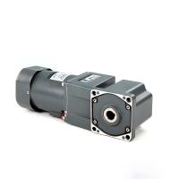 China Gear Size 60 220V Compact Geared Motor Conveyor Belt Gear Motor for sale