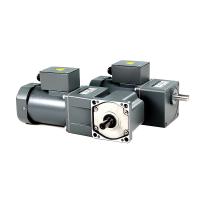China Hot sale Micro Motor AC 25W single Phase reduction Motors speed controller for sale