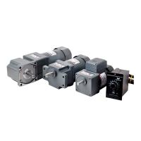 China Solid Shaft 60Hz 60 RPM Gear Motor Low RPM Motor 220V for sale