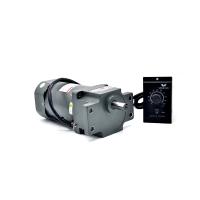 China Output Torque 44Nm Compact Geared Motor Small Size AC Motor For Packing Machine for sale