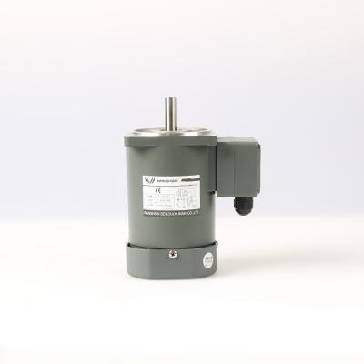 China 50 60Hz Single Phase Asynchronous Motor 22Nm for sale