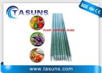 China Pultruded 6 ft Heavy Duty Fiberglass Fence Posts For Tomato Cage Posts Supports for sale