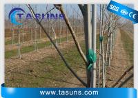China UV Inhibitor Pultruded Fiberglass Rod For Plant Tree Support Poles Stick for sale