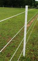 China Round Pre Drilled Pultruded Fiberglass Rod Electric Fence Posts Rods for sale