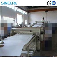 China PP PE PET Thermoforming Sheet Making Machine High Output for sale