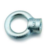 China JIS 1169 Drop Forged Eye Nut for sale