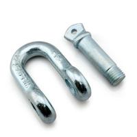 China G210 Drop Forged US Type Dee Shackle with Screw Pin for sale
