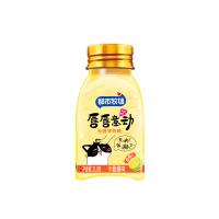 China Customized Healthy Sugar Free Candy Vitamin Thin Mints Candy Manufacturer for sale