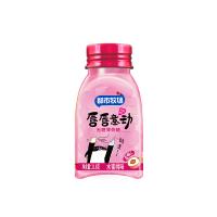 China Customized Healthy Sugar Free Candy Vitamin Thin Mints Candy Manufacturer for sale