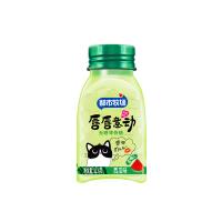 China Customized Healthy Sugar Free Candy Vitamin Thin Mints Candy Manufacturer for sale