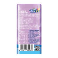 China Sugar Free Mint Candy Low Calorie Candy Grape Natural Flavors Mints Factory for sale