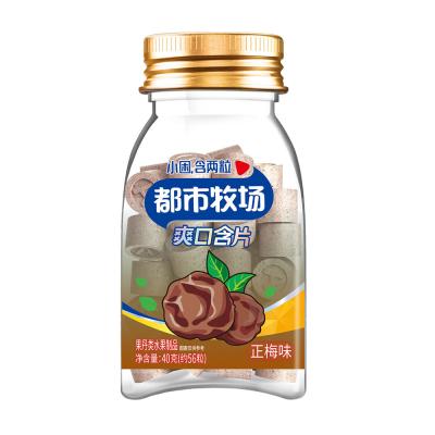 China Plum Candy DIY OEM Customized Sugar Free Mint Candy With Shelf Life 2 Year And Low Calories Carbohydrate for sale