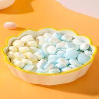 China 2 Year Shelf Life Sugar Free Mints with Long-lasting Freshness and Natural Flavoring for sale