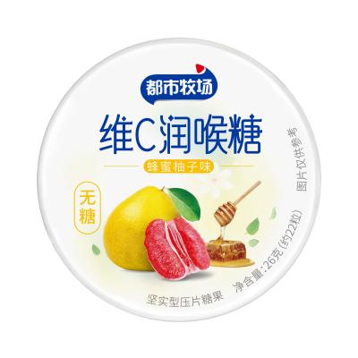 China Dry Mouth Mints Lozenge Healthy Tablet Sugar Free Mint Candy Manufacturer for sale
